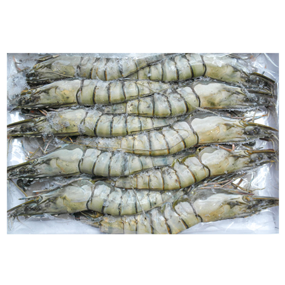 블랙타이거새우 1kg(500gx2팩) 20미 - 온채널